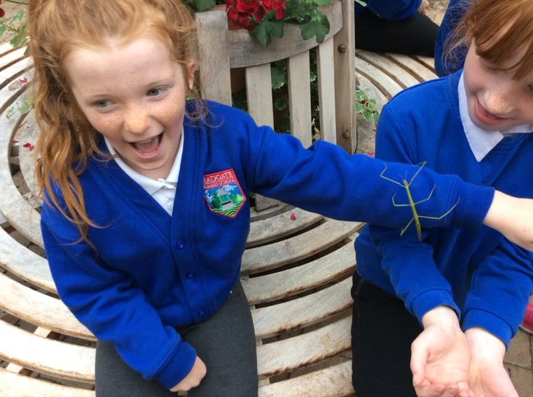 Year 3 visited Durham Botanical Gardens - Leadgate Primary School